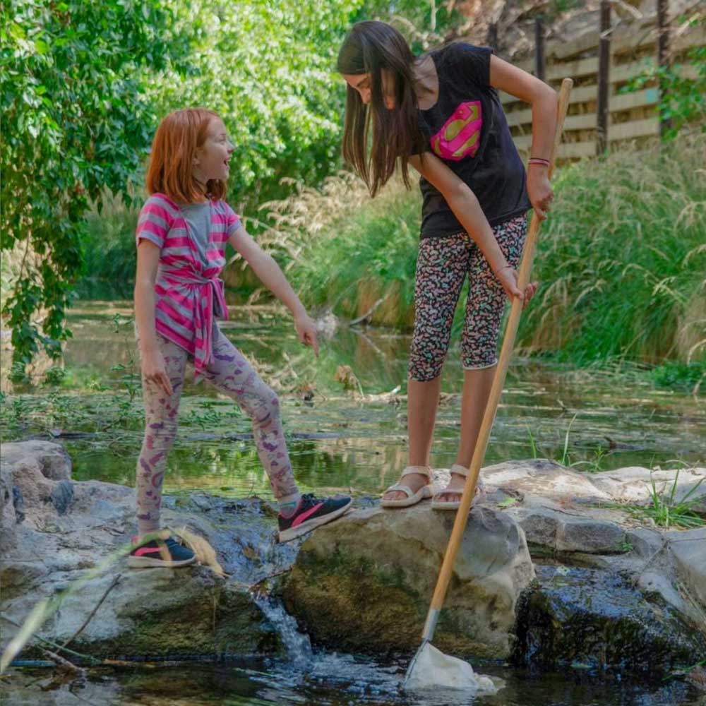 What We Do Clean Ups – Silver City Watershed Keepers